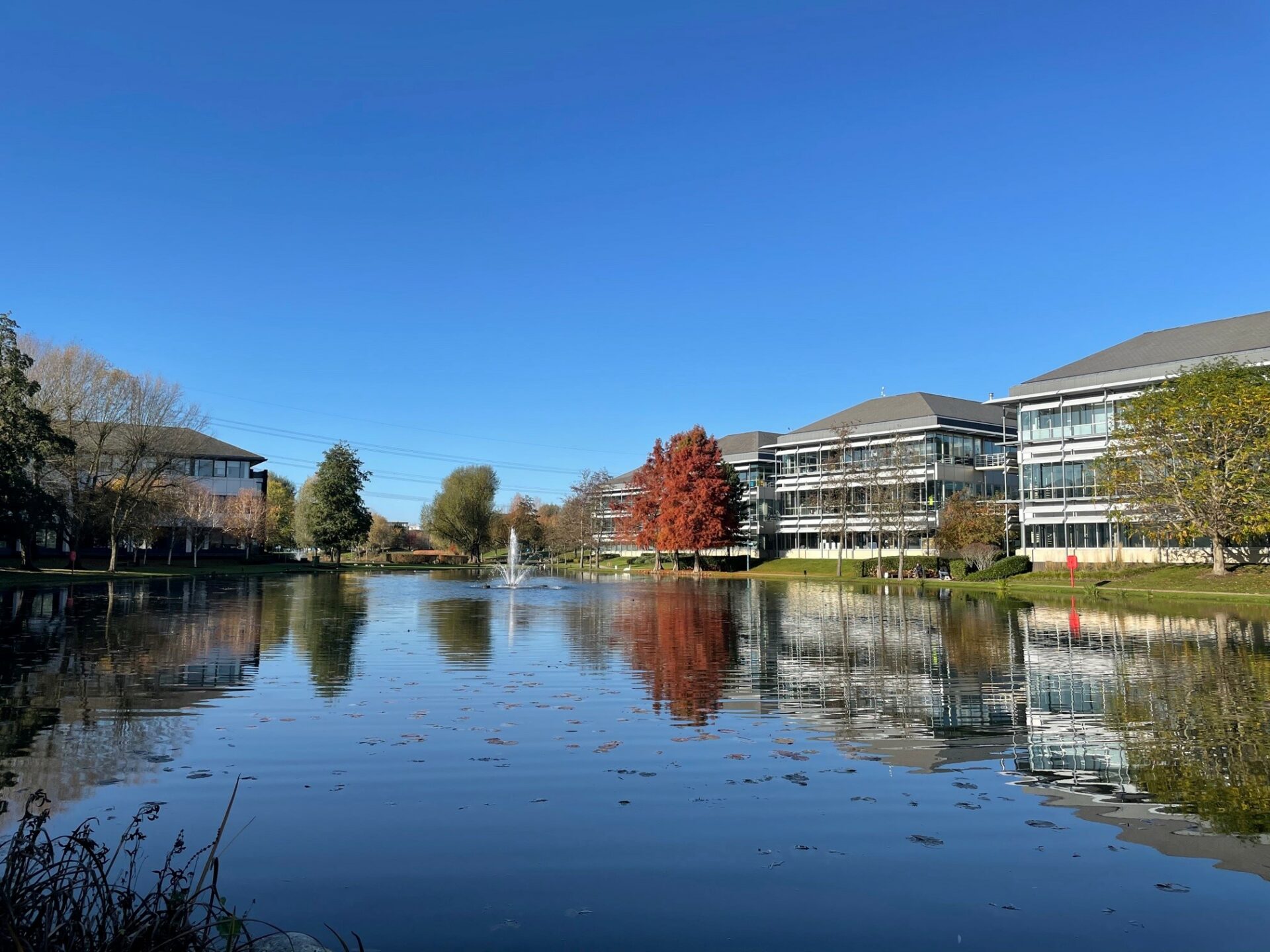 Bigger Space - Arlington Park