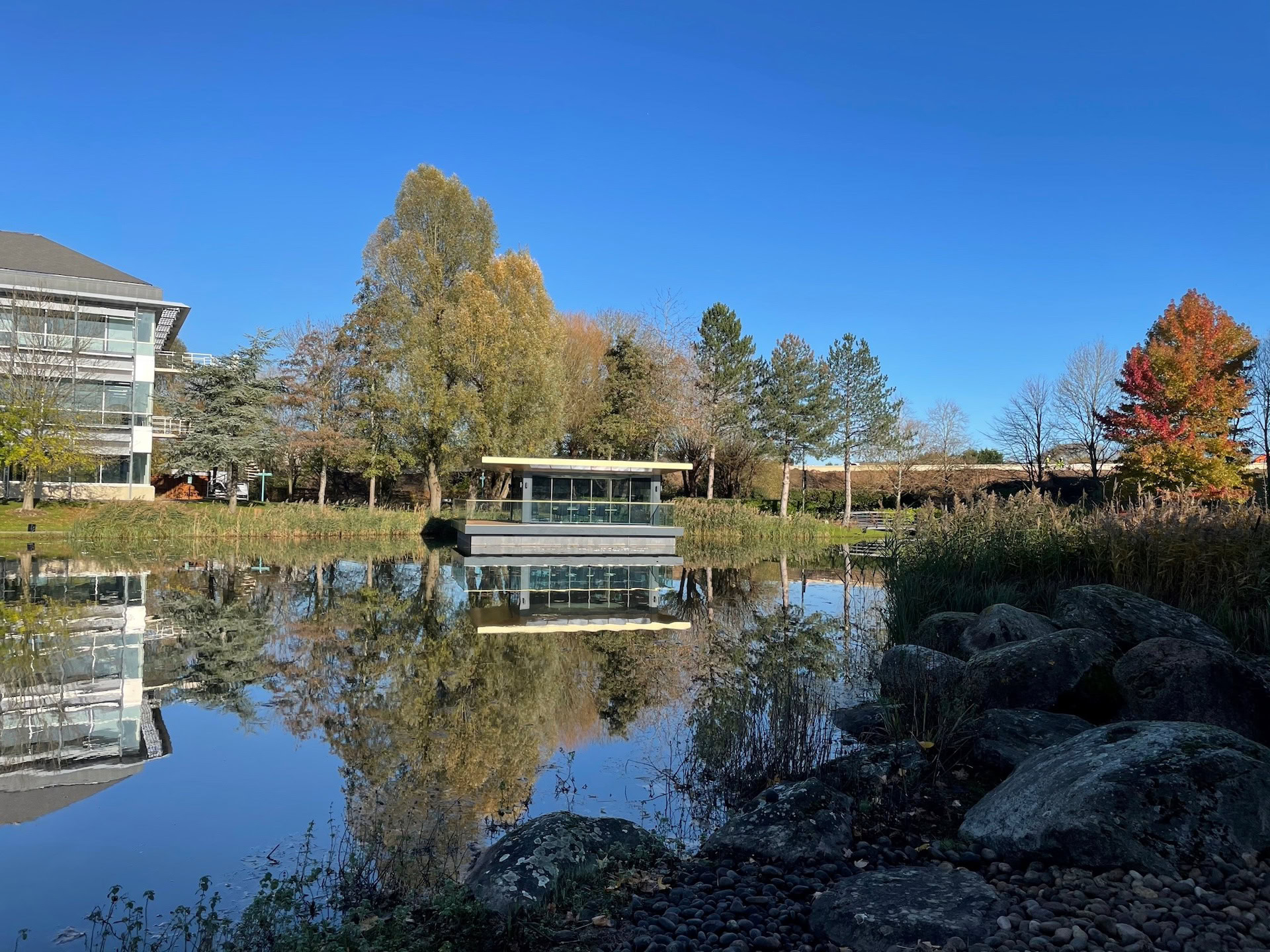 Smaller Space - Arlington Park